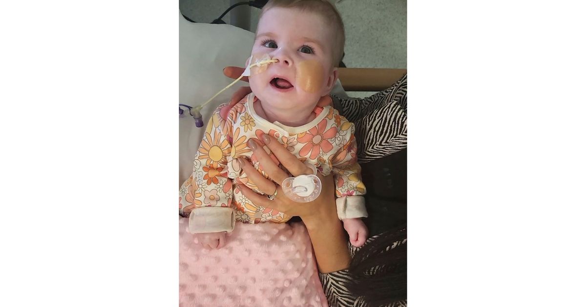 Parents of a terminally ill baby lose UK legal battle to bring her home ...