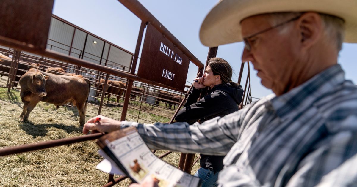 Beef is a way of life in Texas, but it’s hard on the planet. This ...