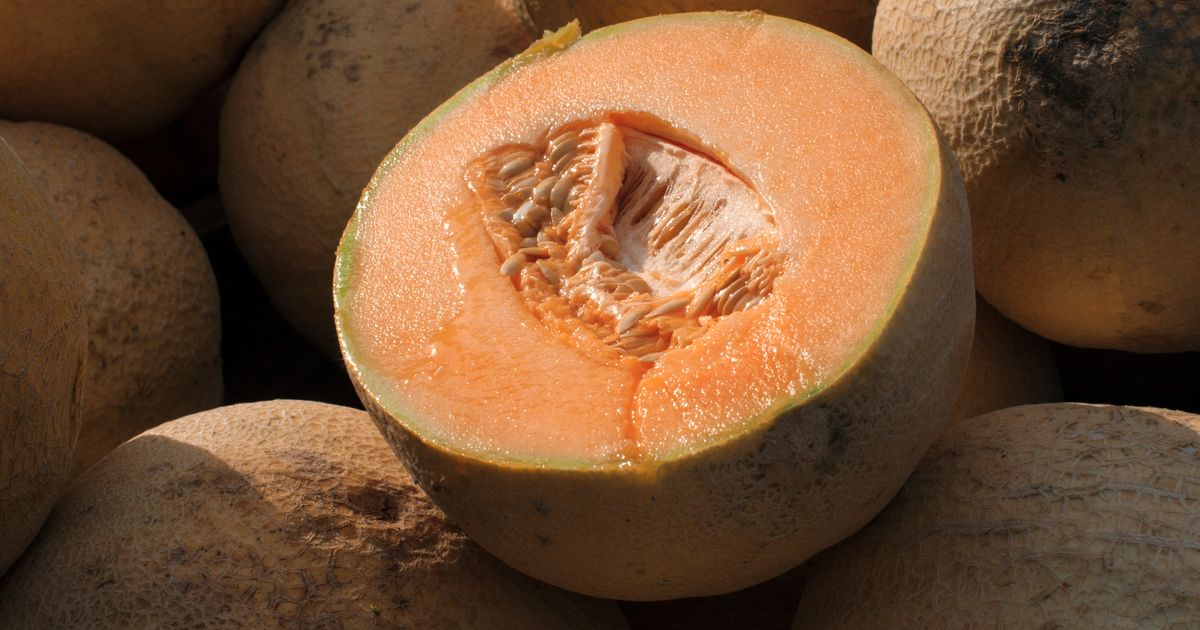 FDA expands cantaloupe recall after salmonella infections double in a ...