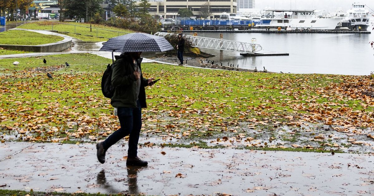 Seattle weather forecast: Up to 3 inches of rain within 24 hours | The ...