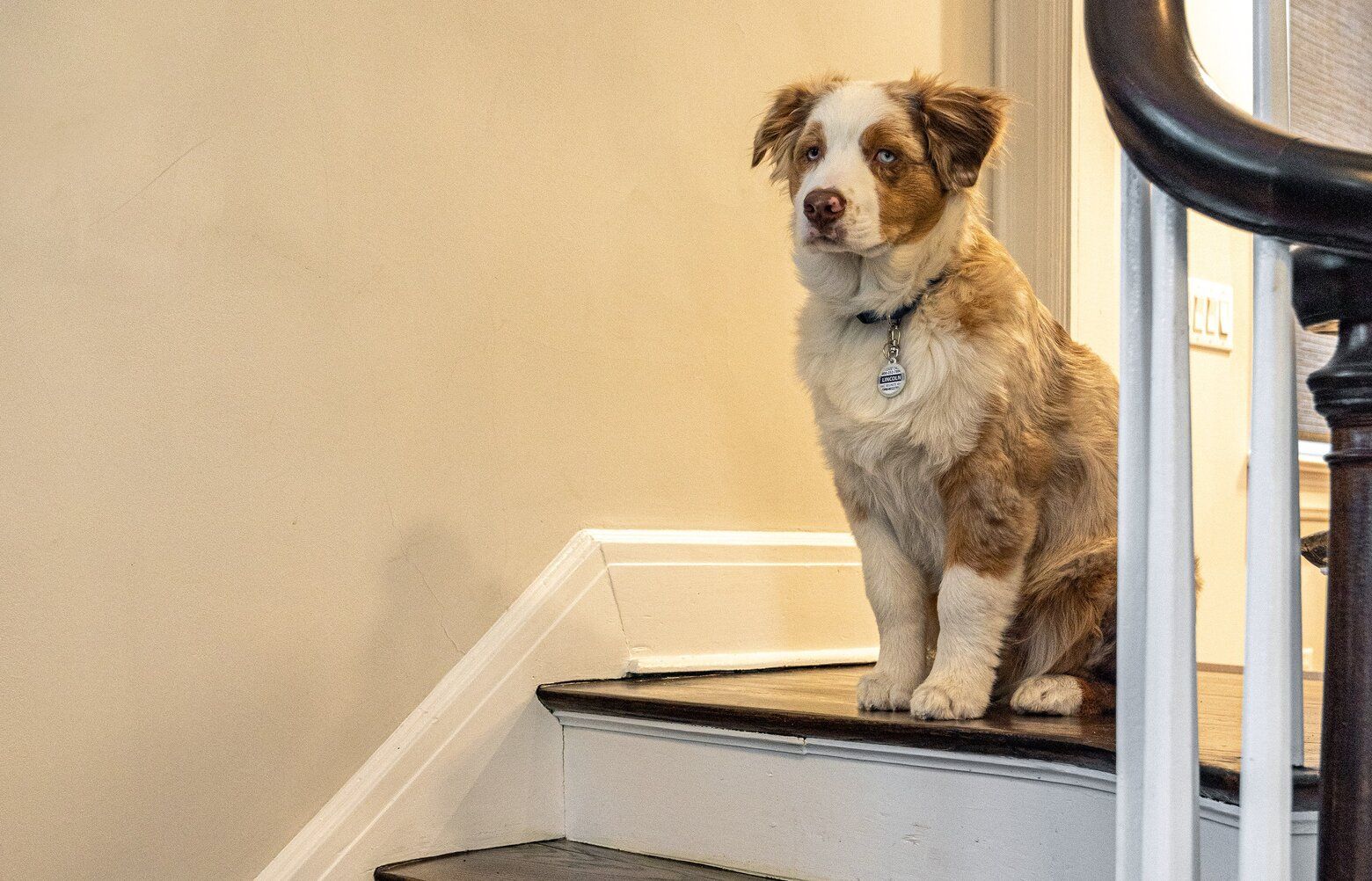 Jaime Stathis | The Seattle Times