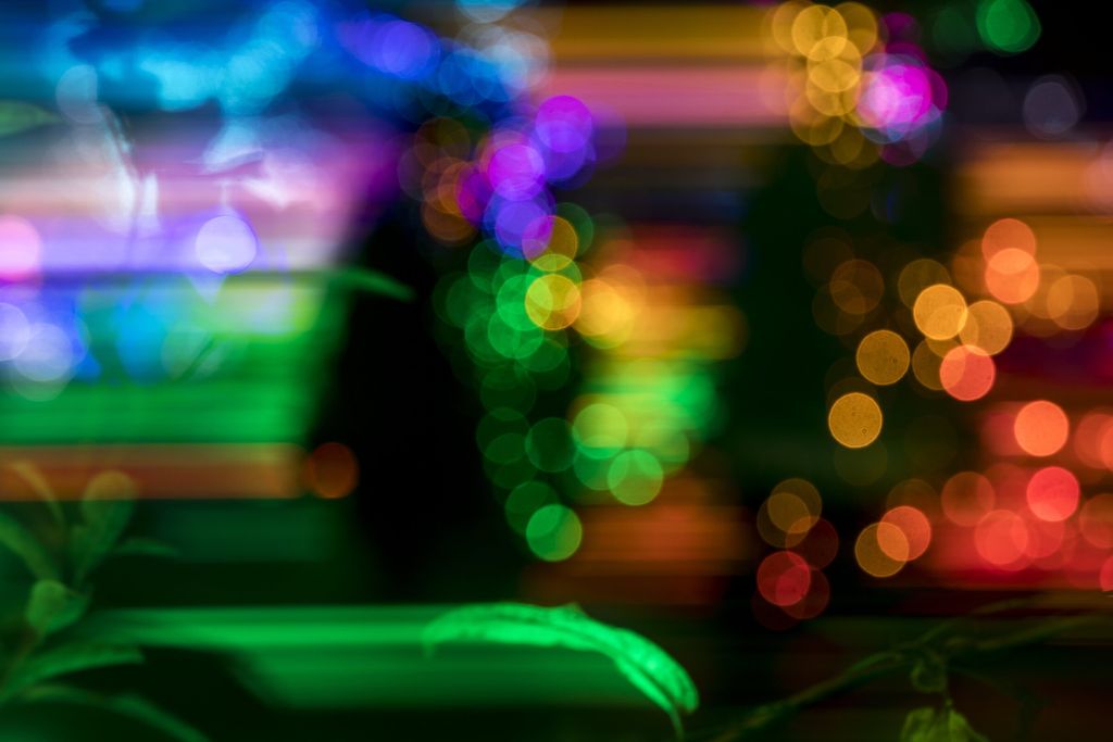 Where to see holiday lights around Seattle: 6 fun outings | The Seattle ...