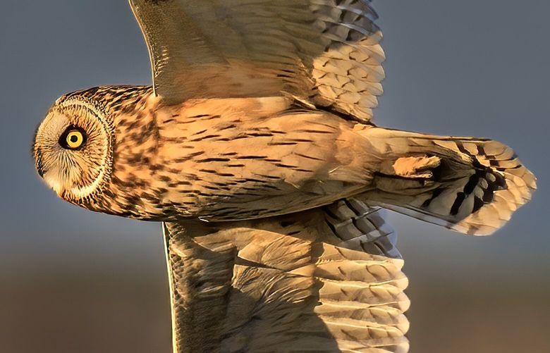 Reader’s Lens | The Seattle Times