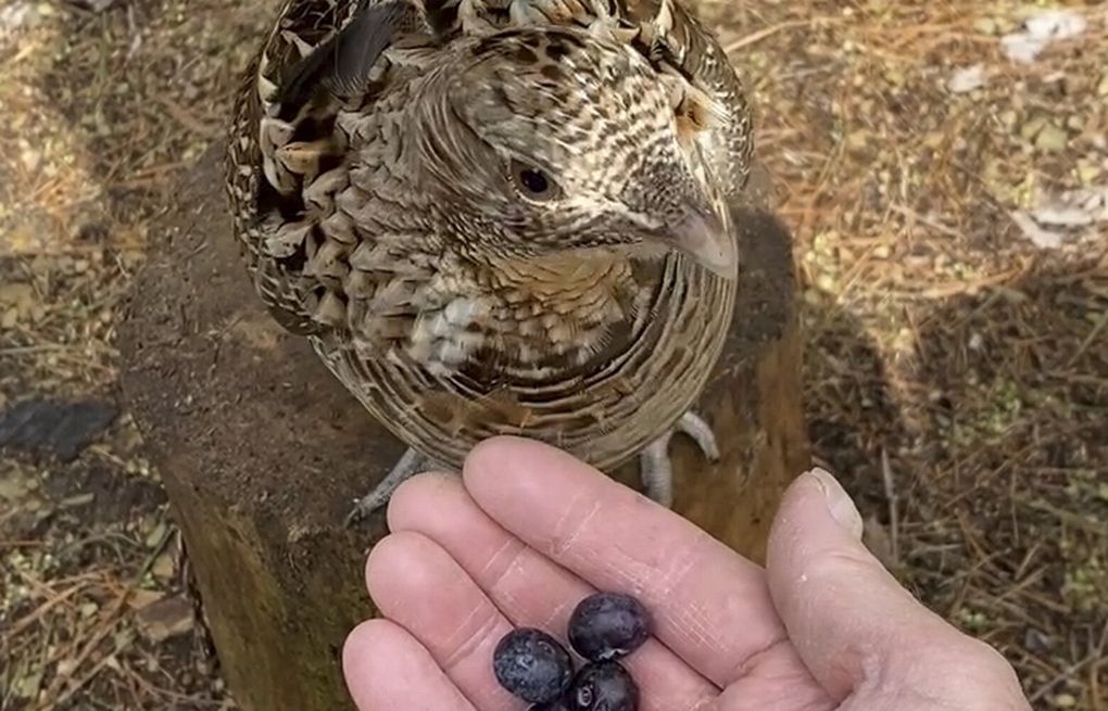 Ashley Stimpson | The Seattle Times