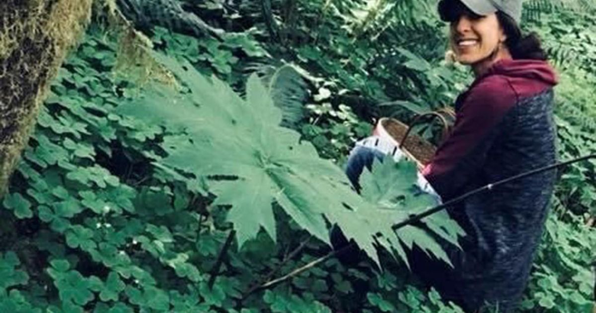 Women help drive forestry industry forward | The Seattle Times