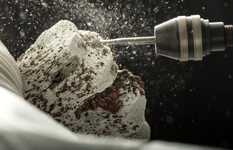 LAURAN NEERGAARD | The Seattle Times