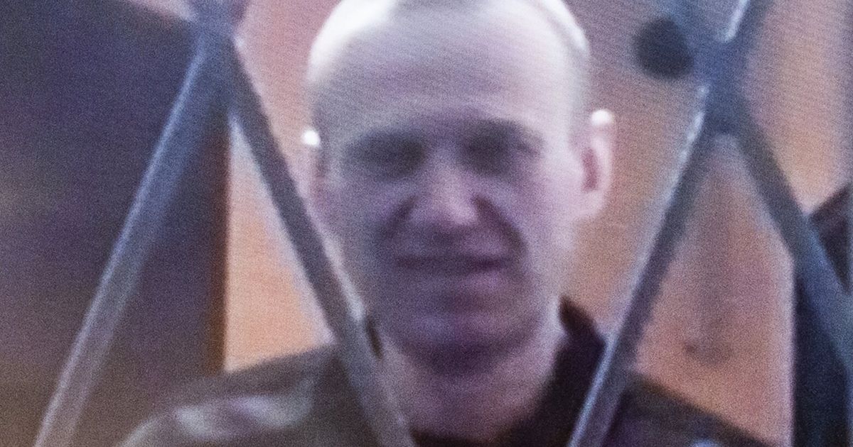 Kremlin foe Navalny, smiling and joking, appears in court via video ...