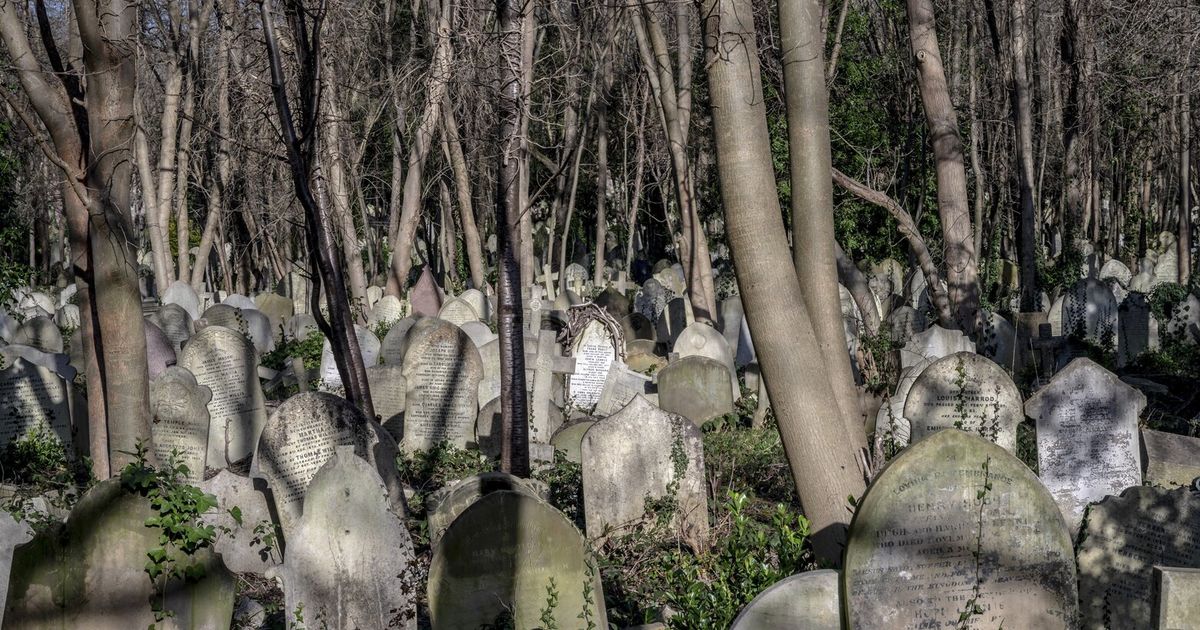 Famed London cemetery, nearly full, turns to recycling old graves | The ...