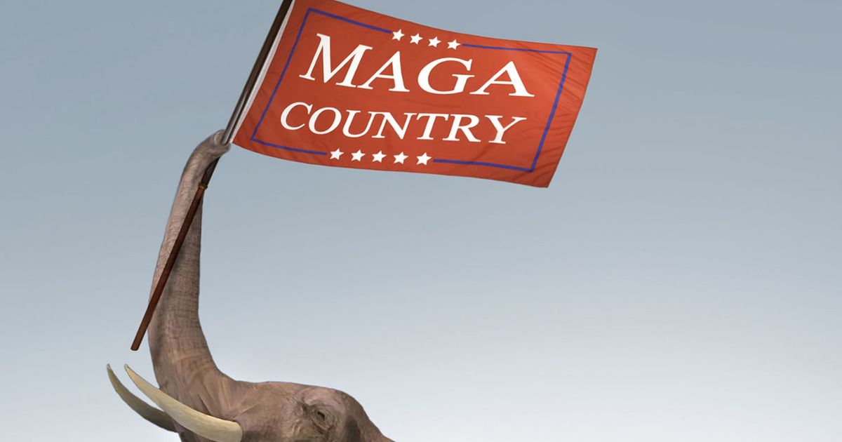 MAGA is based on fear, not grounded in reality | The Seattle Times