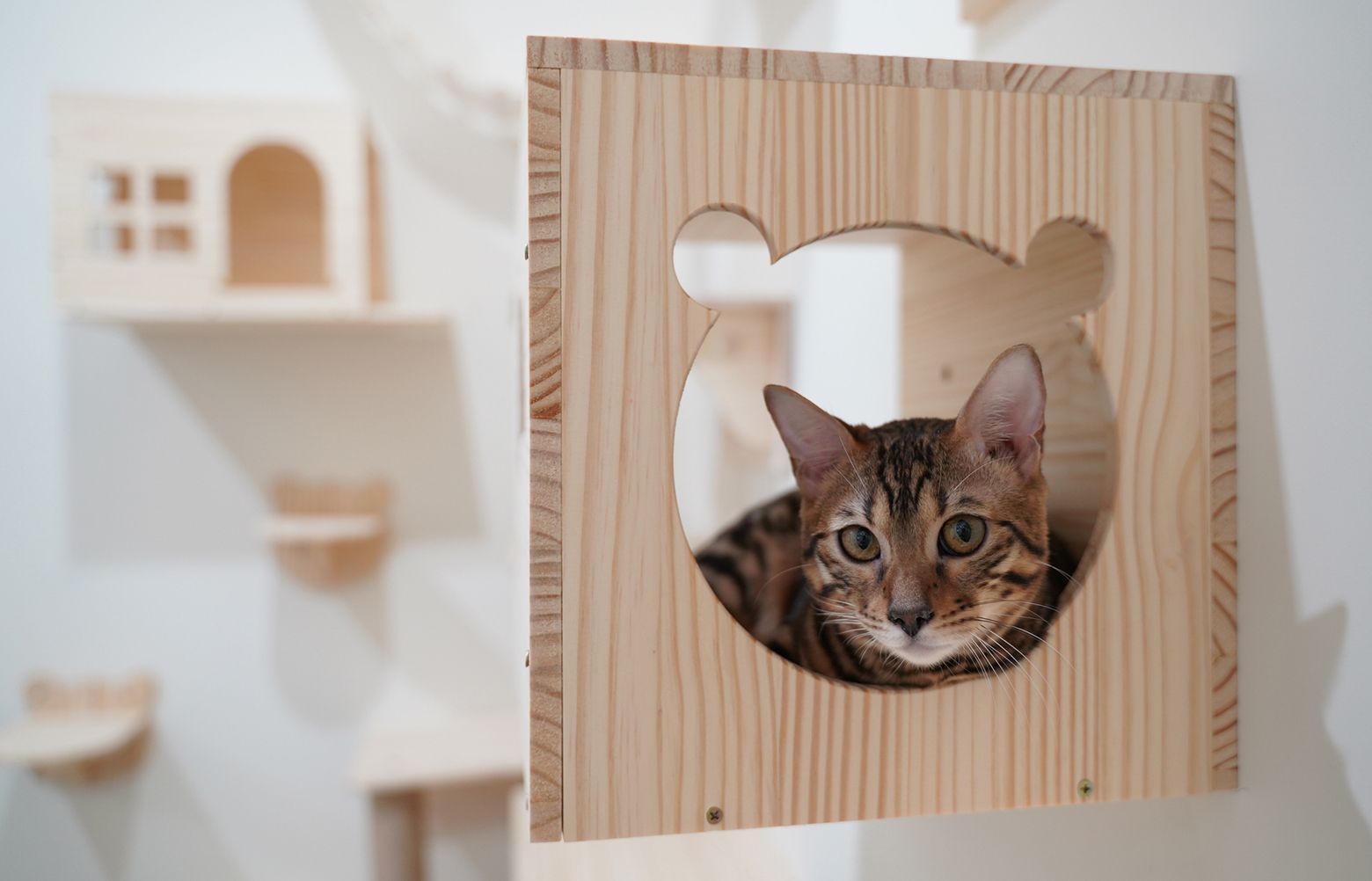 Colleen Grablick | The Seattle Times