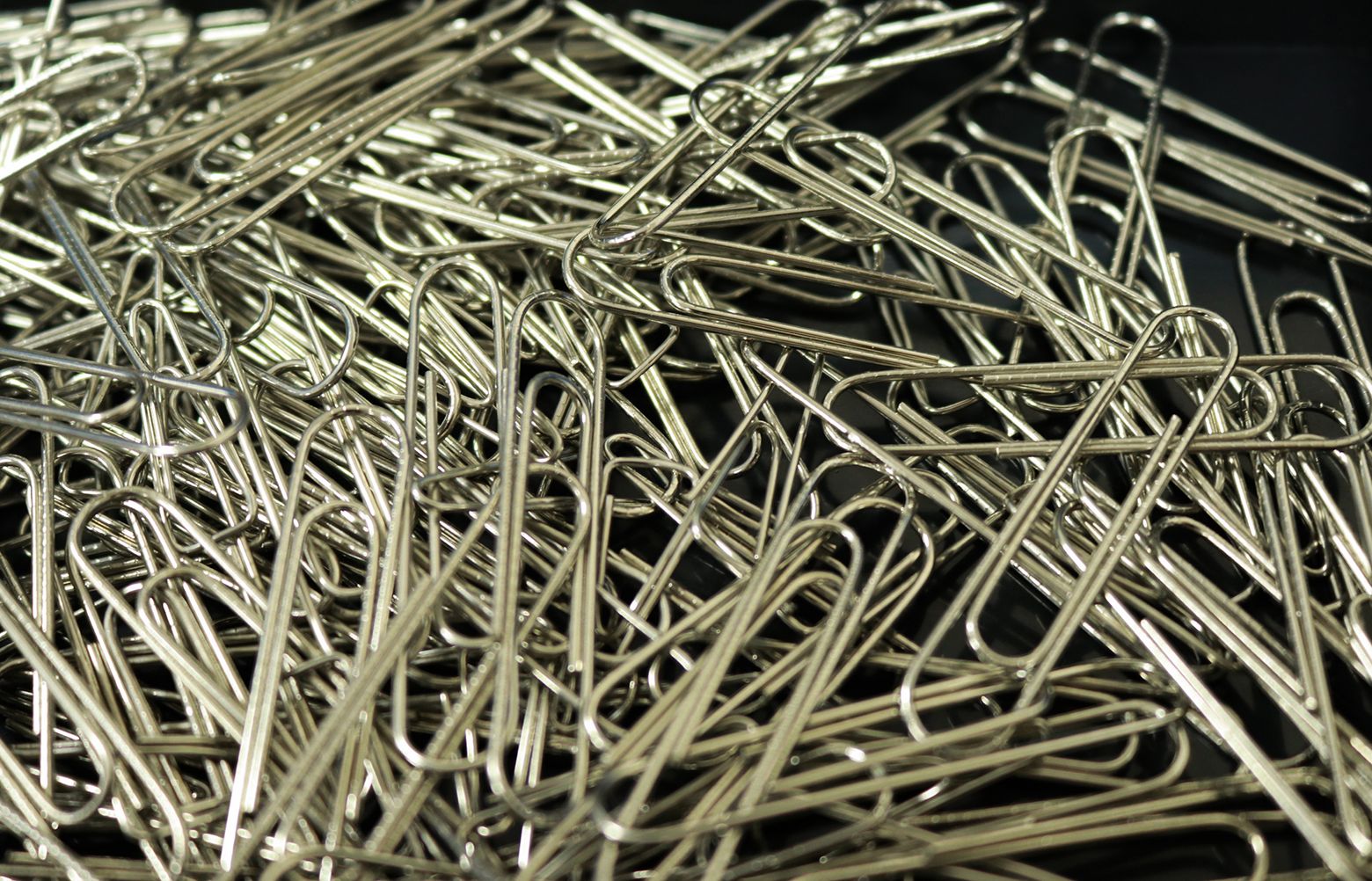 Laura Daily | The Seattle Times