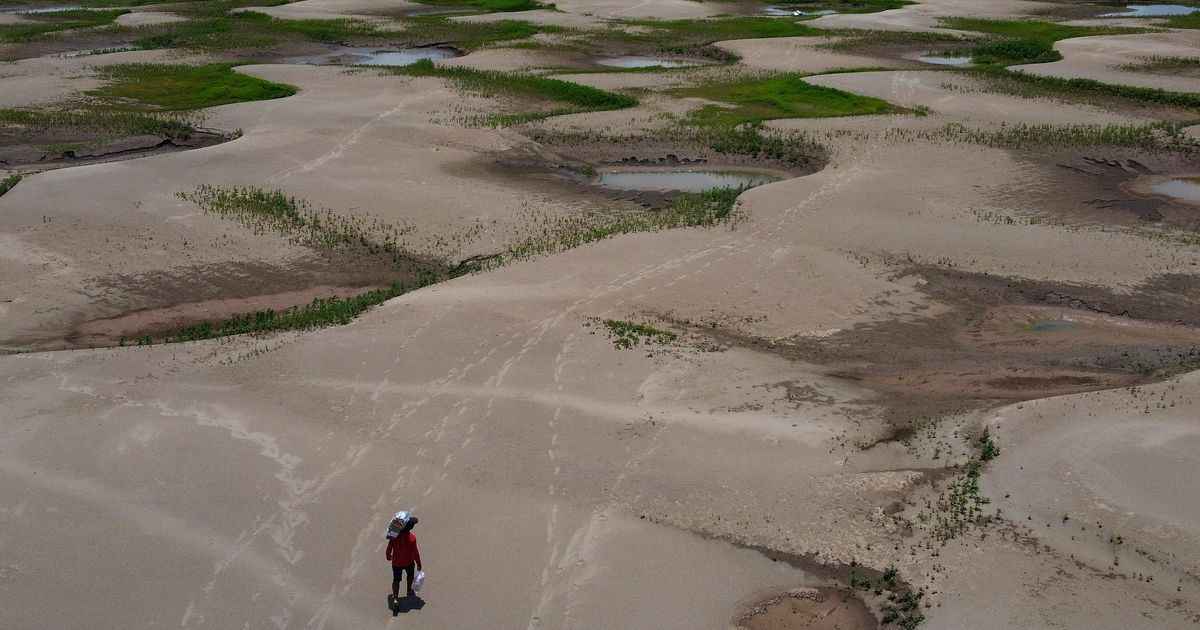 Global warming was primary cause of unprecedented Amazon drought, study ...