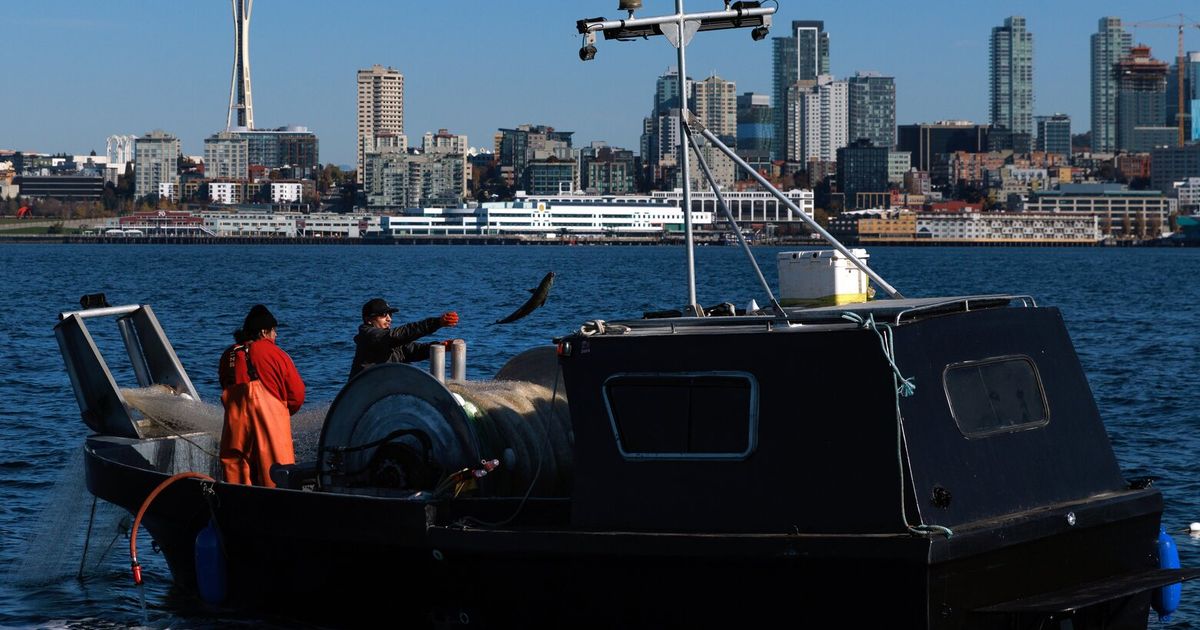 The Boldt decision’s enduring legacy, 50 years on | The Seattle Times