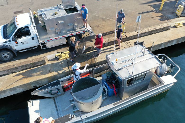 The Exxon Free Environmental Thread Message Board - Msg: 34576381