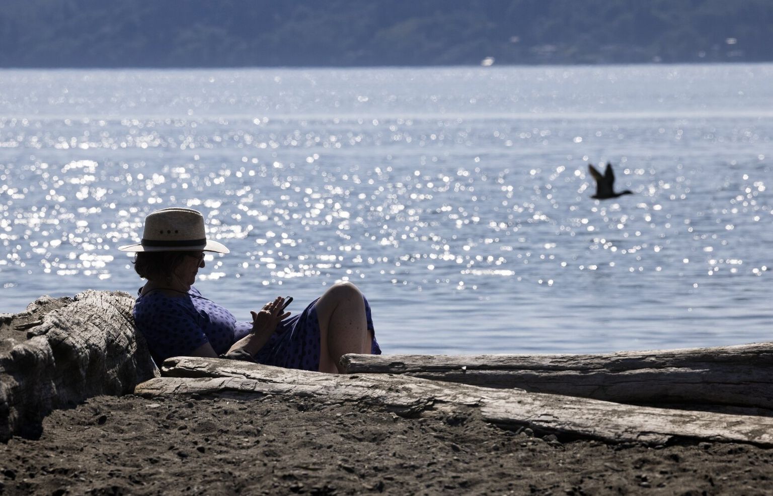 Gene Balk / FYI Guy | The Seattle Times