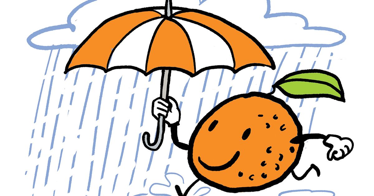 Rant & Rave: Reader appreciates citrus on cloudy days | The Seattle Times