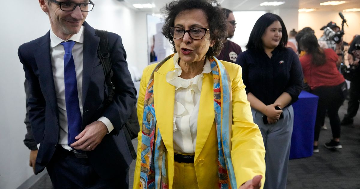 UN expert says more needs to be done to address human rights abuses in ...