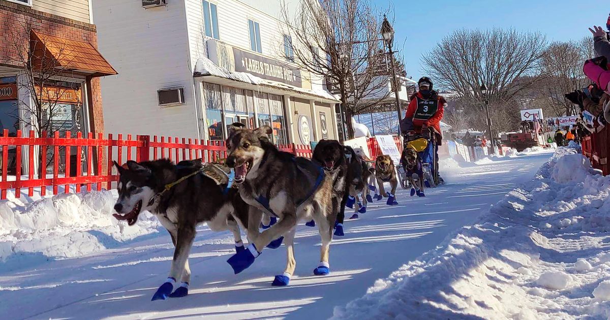 Lack of snow cancels longest sled dog race in eastern U.S. | The ...