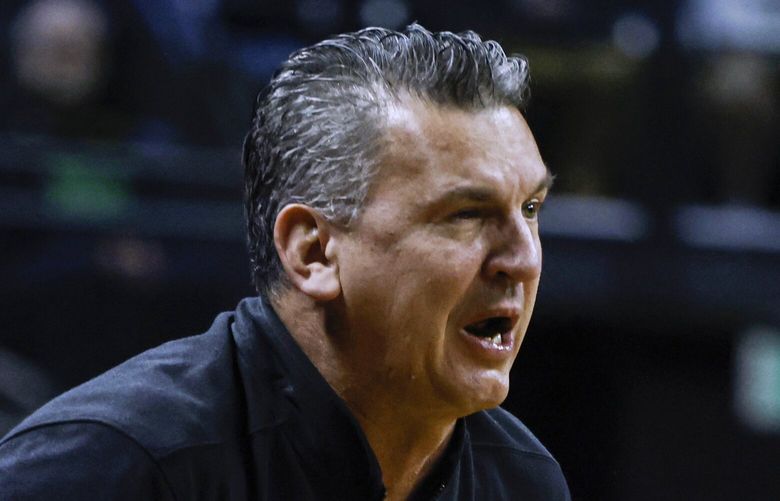 Cougars | The Seattle Times