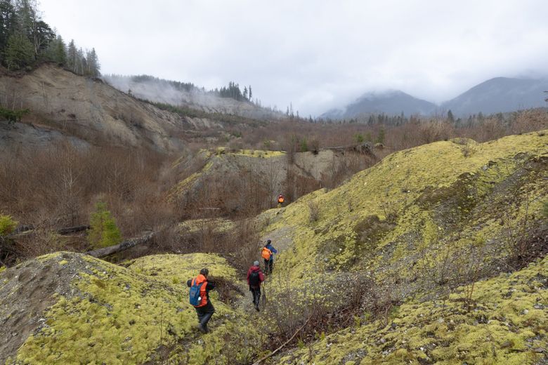 Oso Disaster Had Its Roots In Earlier Landslides