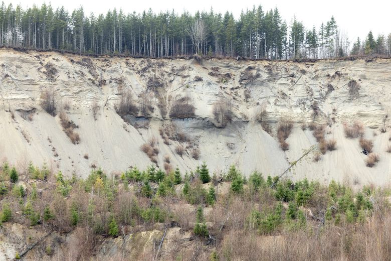 Oso Disaster Had Its Roots In Earlier Landslides