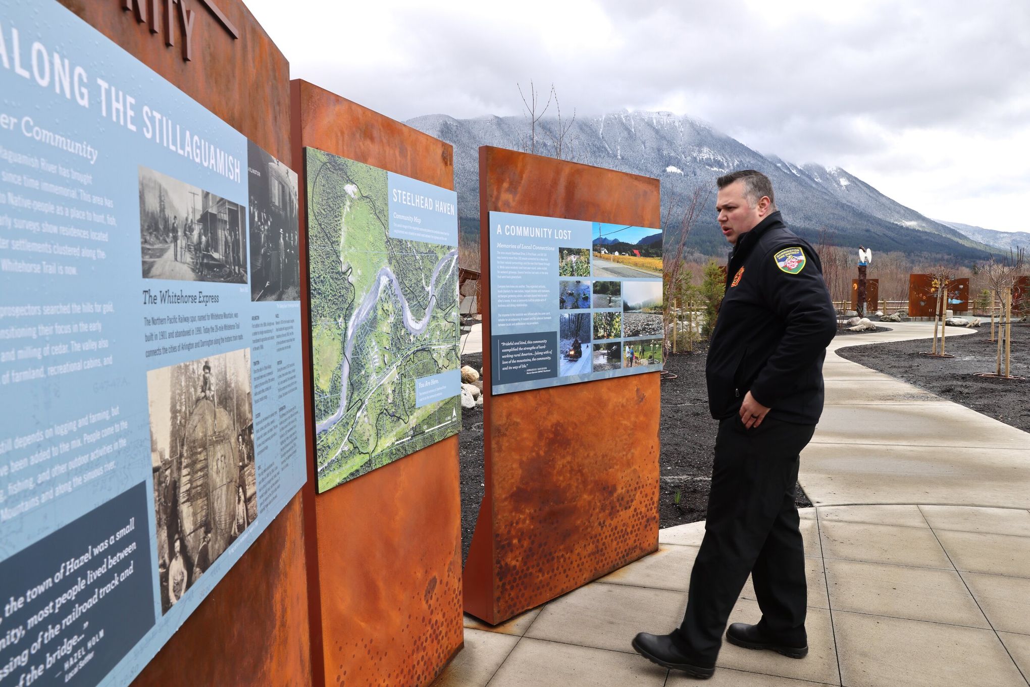 10 years after the Oso landslide, a new forest is rising | The Seattle ...