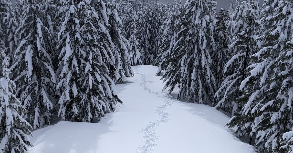 Cloudy skies, iffy camera? No problem, as long as there’s snow | The ...