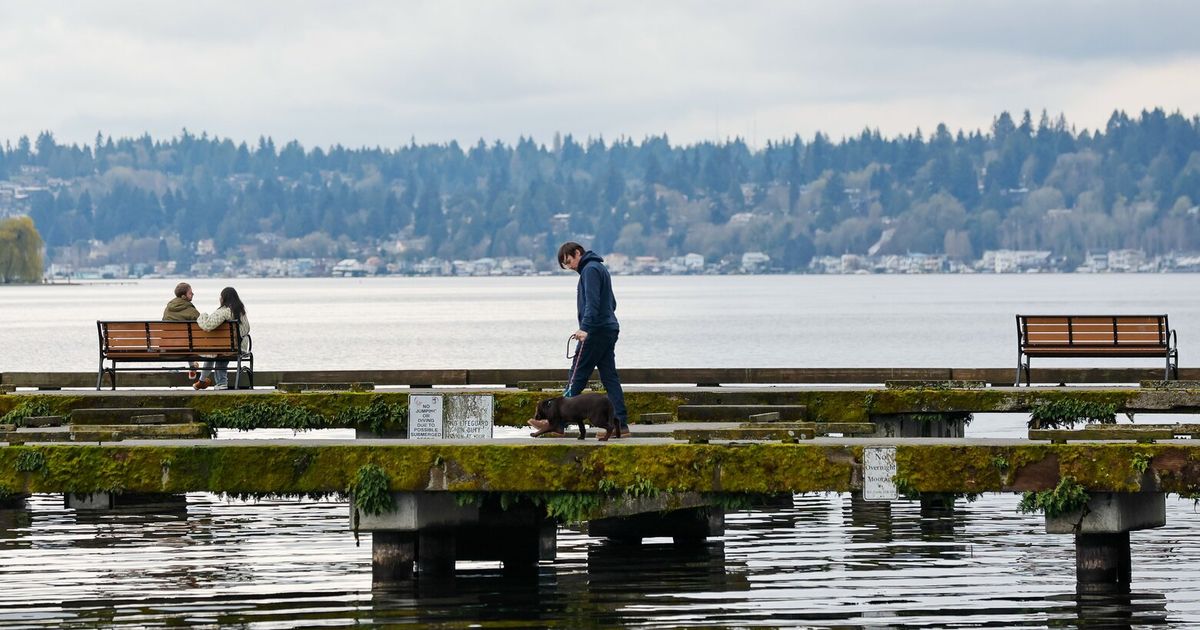 Seattle weather forecast: Midweek mix of lowland rain, mountain snow ...