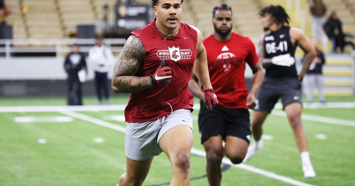 Idaho receiver Hayden Hatten shows versatility during combined pro day ...