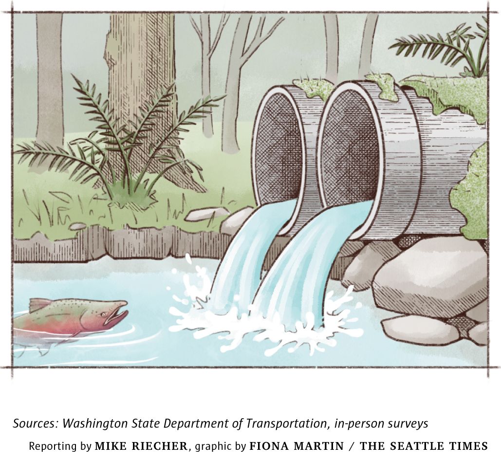 Illustration: See obstacles migrating salmon face in urban streams ...