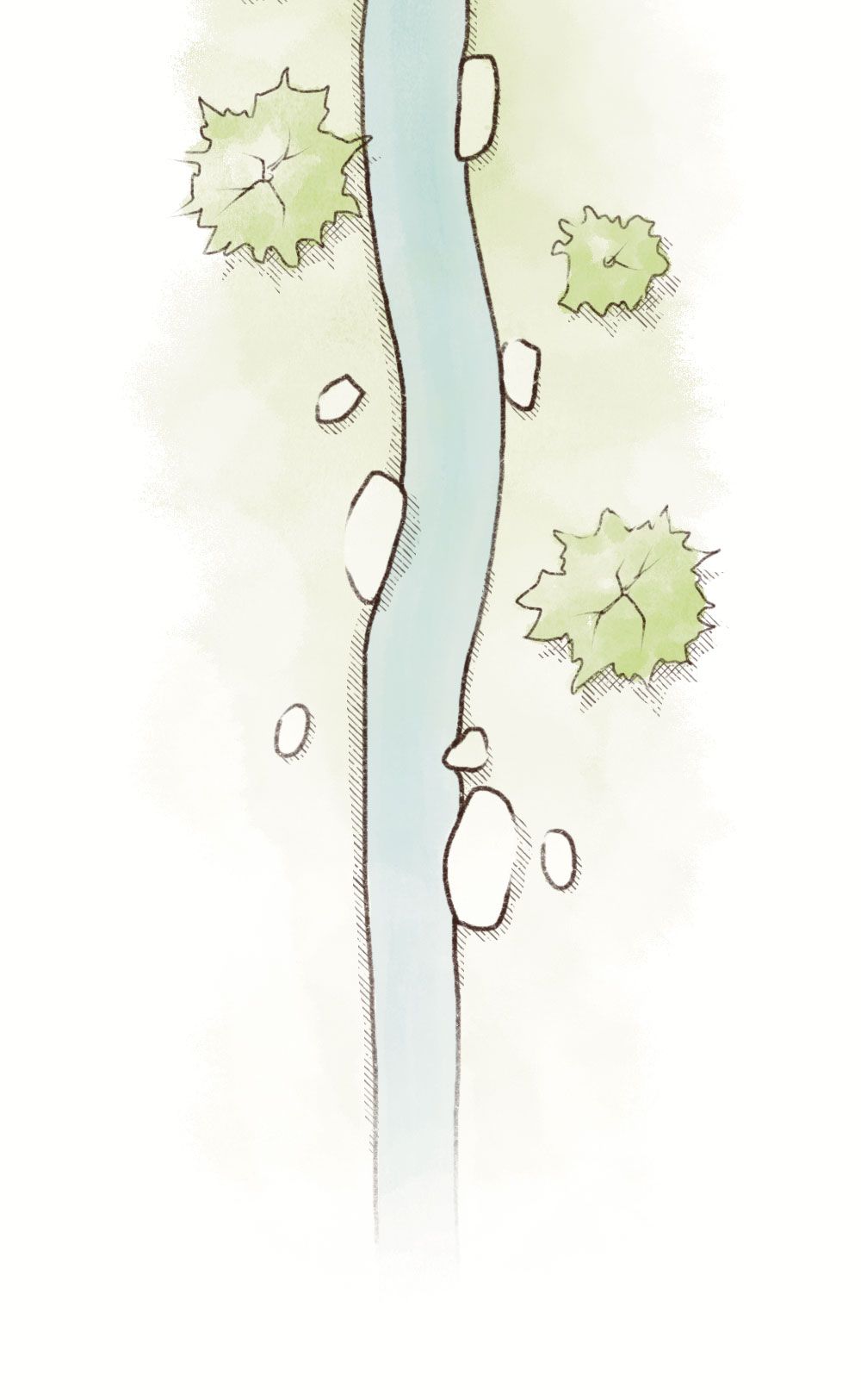 Removing WA salmon barriers surges to $1M a day, but results are murky ...