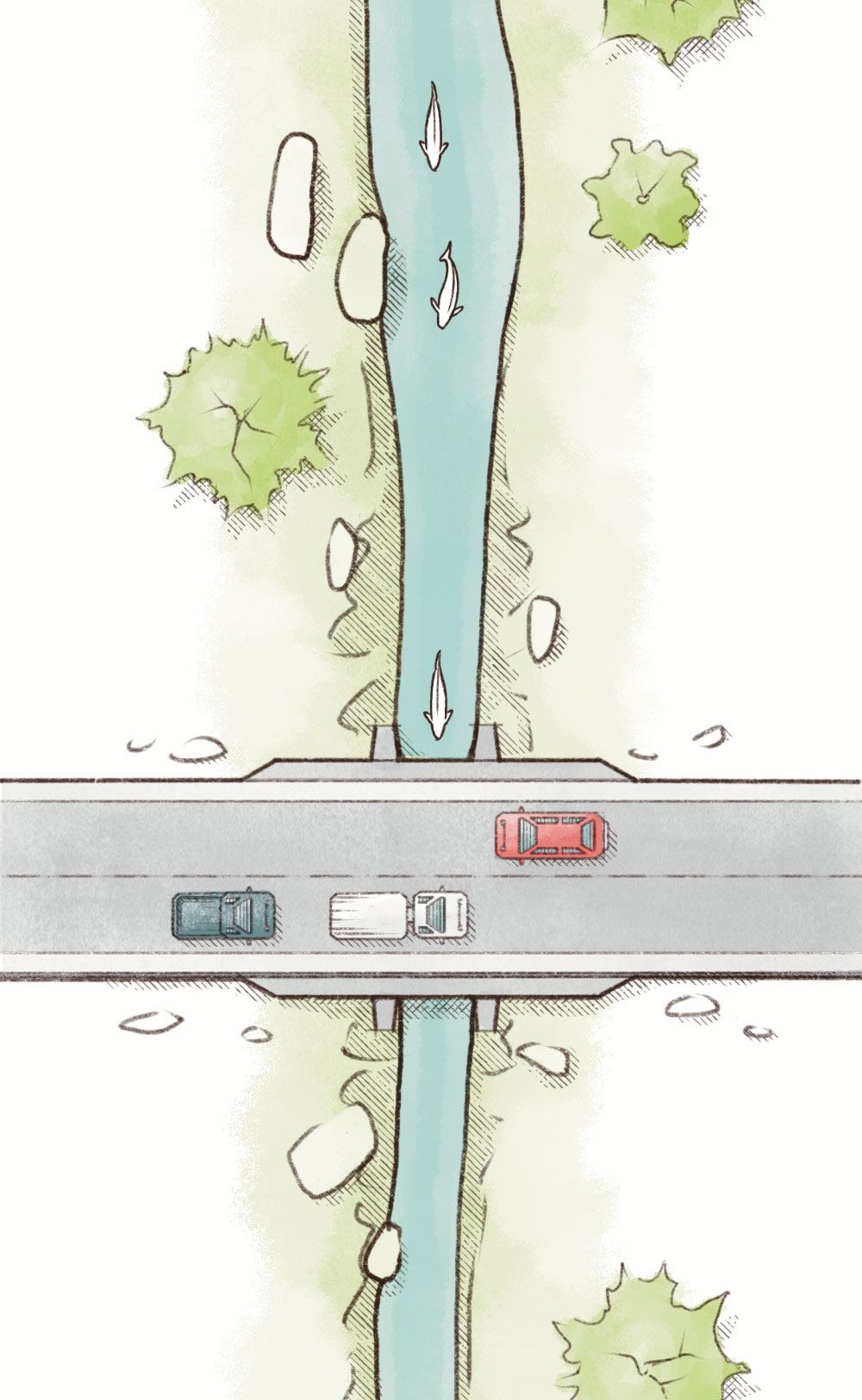 Illustration: See obstacles migrating salmon face in urban streams ...