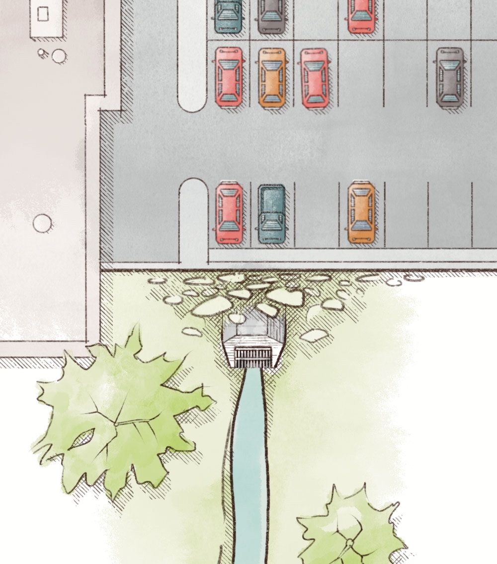 Removing WA salmon barriers surges to $1M a day, but results are murky ...