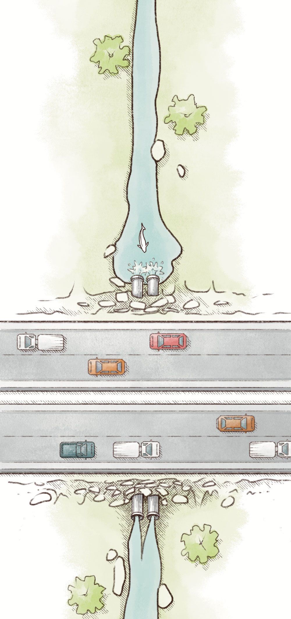 Illustration: See obstacles migrating salmon face in urban streams ...