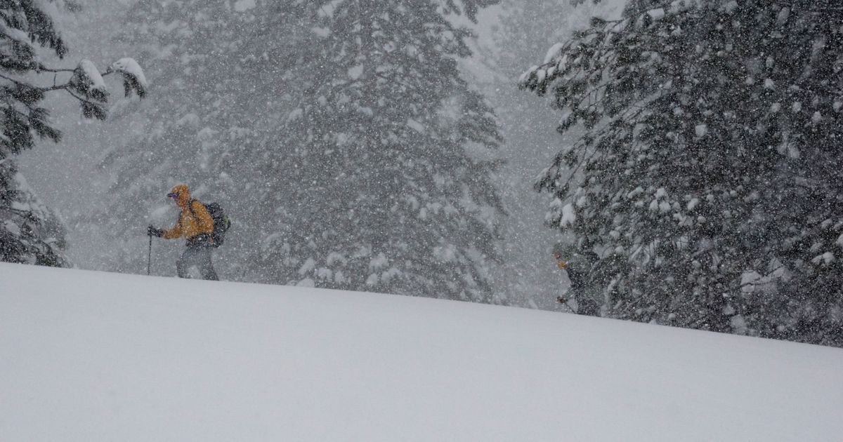 Key Northern California highway closed as snow continues to fall in the ...
