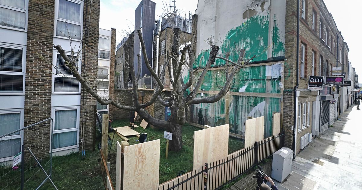 Banksy tree mural that sprouted in London is fenced off after apparent ...
