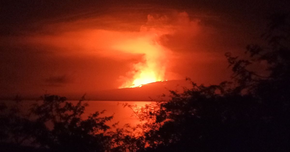 Volcano on uninhabited Galapagos island erupts, sends lava flowing to ...