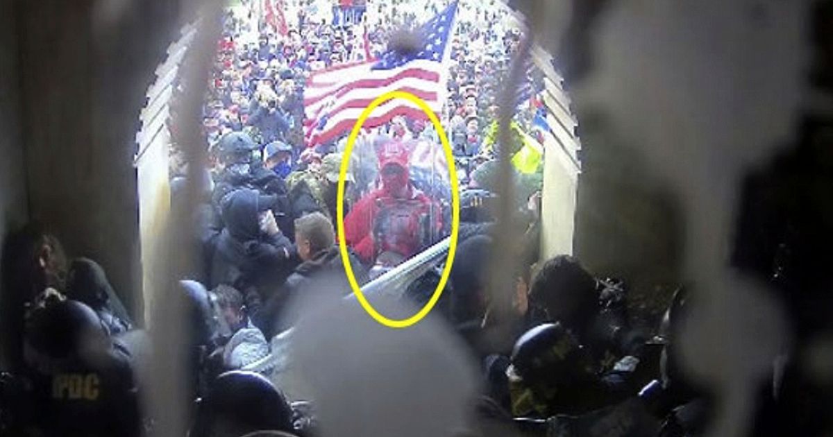 Cardinals super fan known as Rally Runner pleads guilty to storming ...