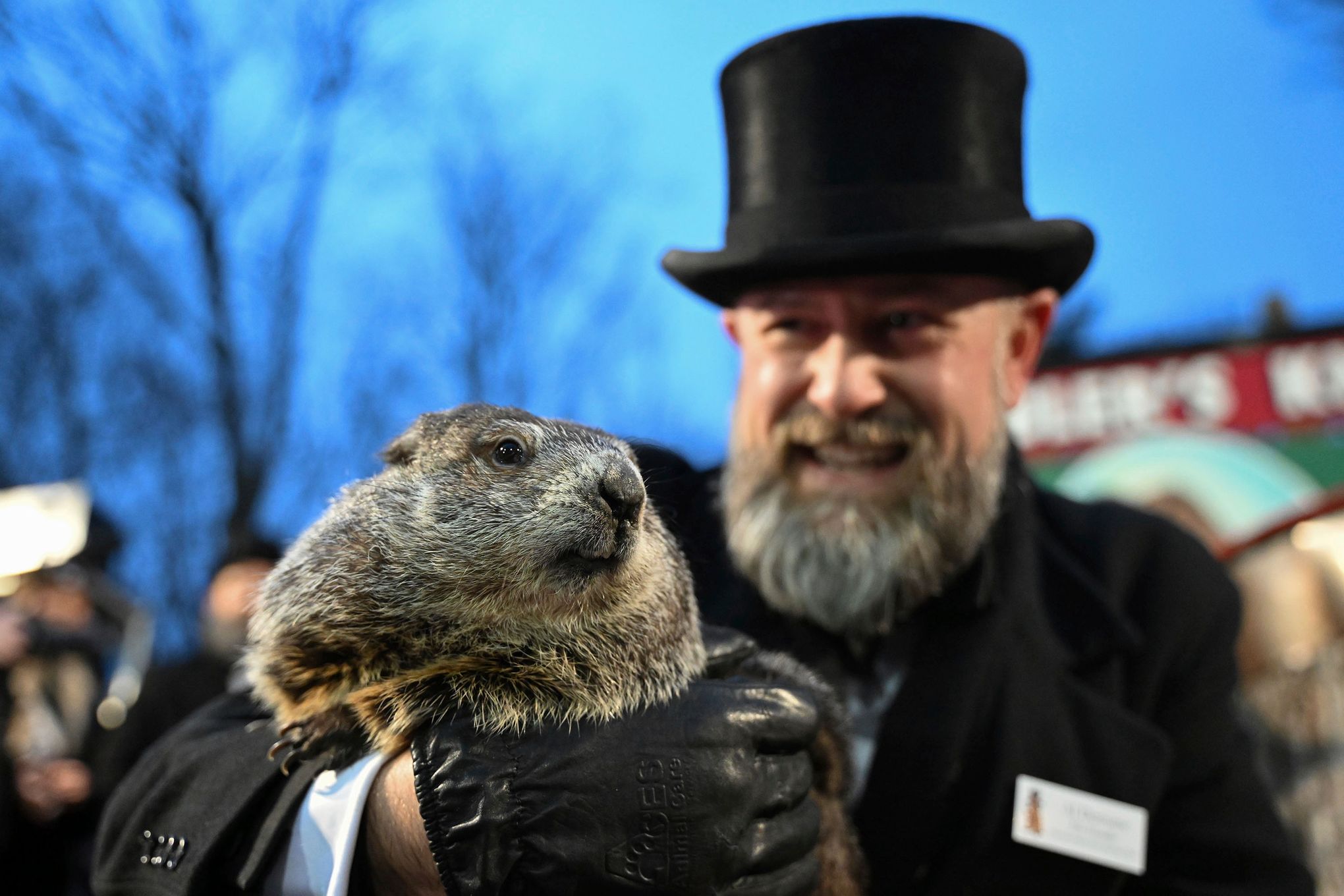 Groundhog Home Nyt