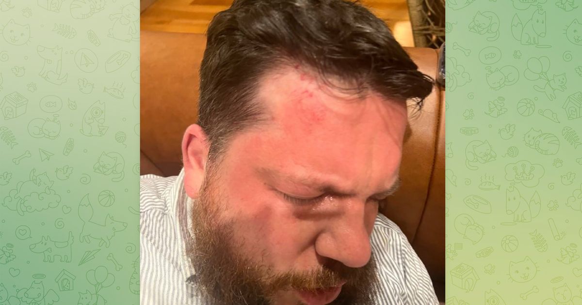 Ally of late Navalny accuses ‘Putin’s henchmen’ of attacking him in ...