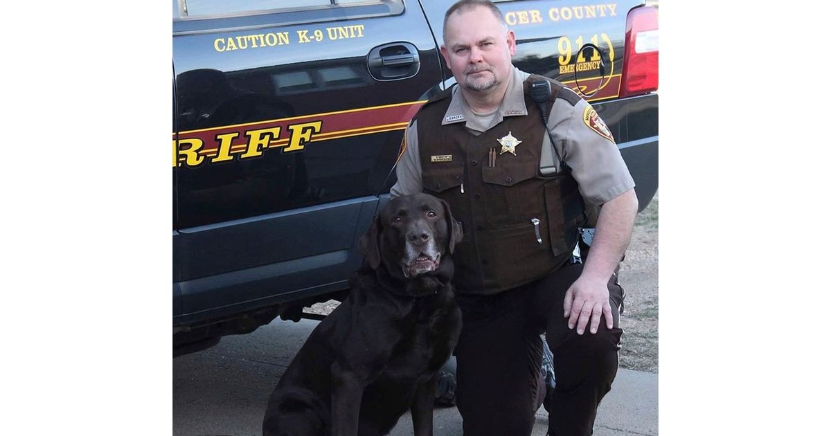 US Sen. Kevin Cramer’s son pleads not guilty to charges for events ...