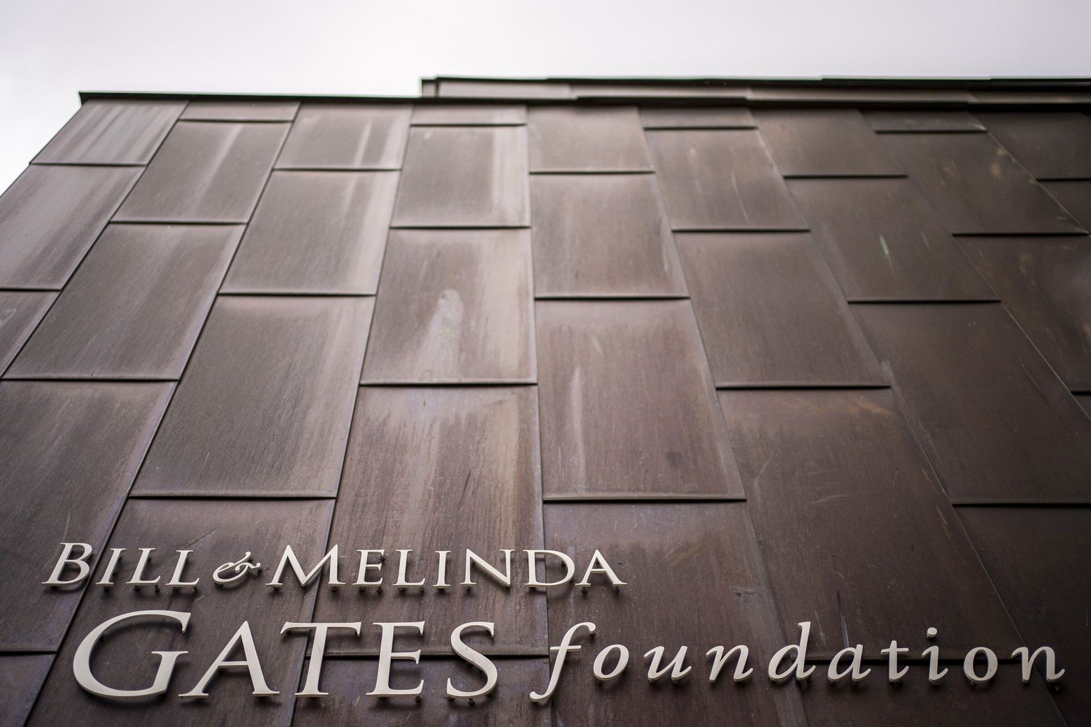 Bill And Melinda Gates Foundation Grants