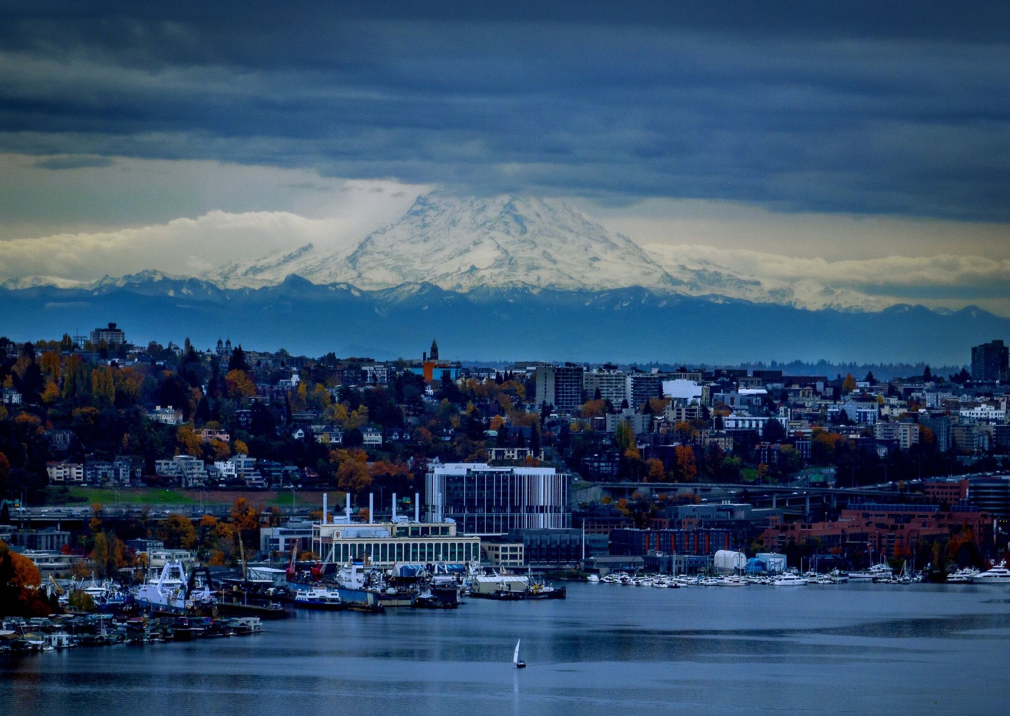 Mount Rainier’s best viewpoints, according to readers | The Seattle Times