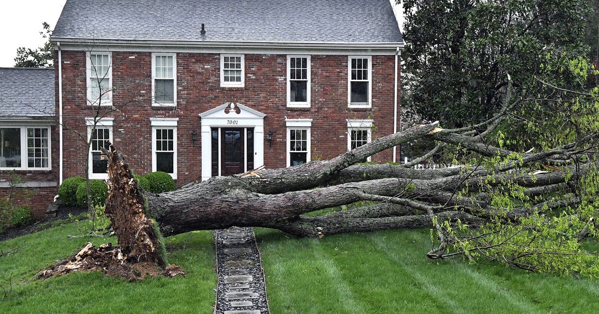 Storms bear down on New England and East Coast as severe weather ...