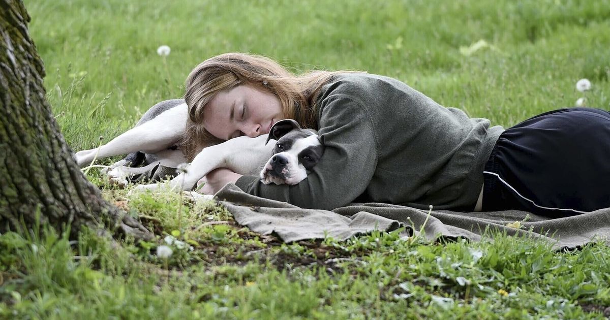 Only 26% of Americans say they get at least eight hours of sleep, new ...