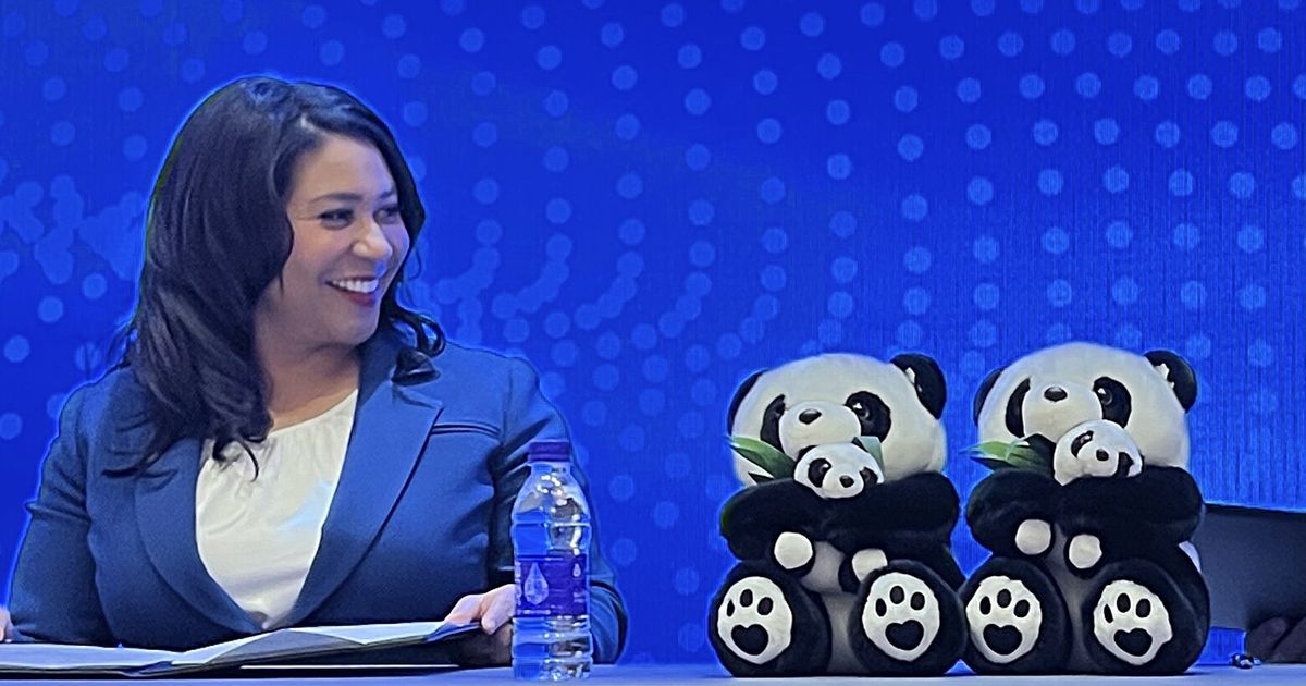 San Francisco mayor announces the city will receive pandas from China ...