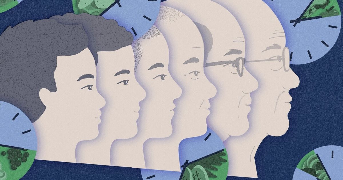 Could eating less help you live longer? | The Seattle Times