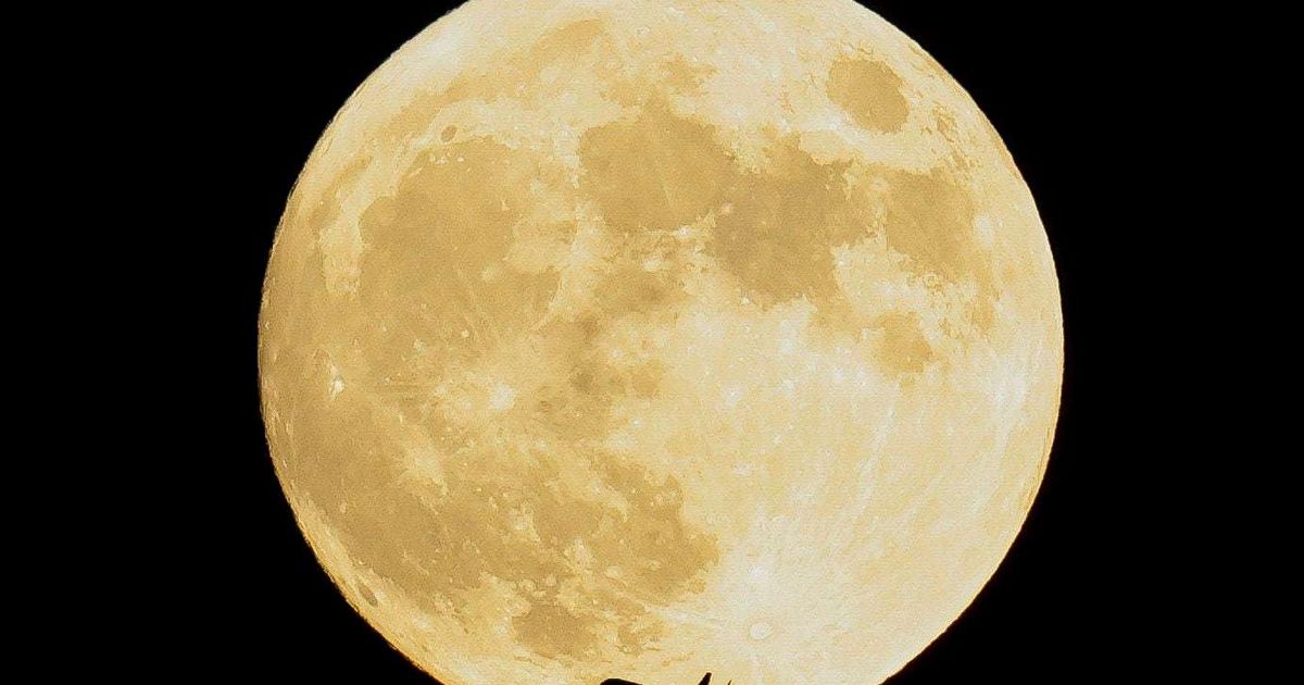 Is it safe to fly during the solar eclipse? Here’s what experts say ...