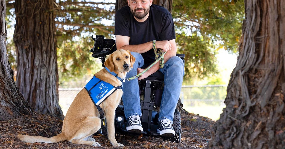 Service dogs help retrieve safety, security, independence | The Seattle ...