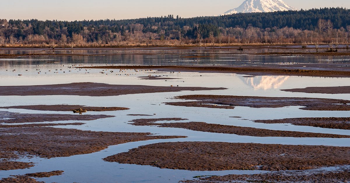 Explore Washington’s national wildlife refuges this Earth Day | The ...